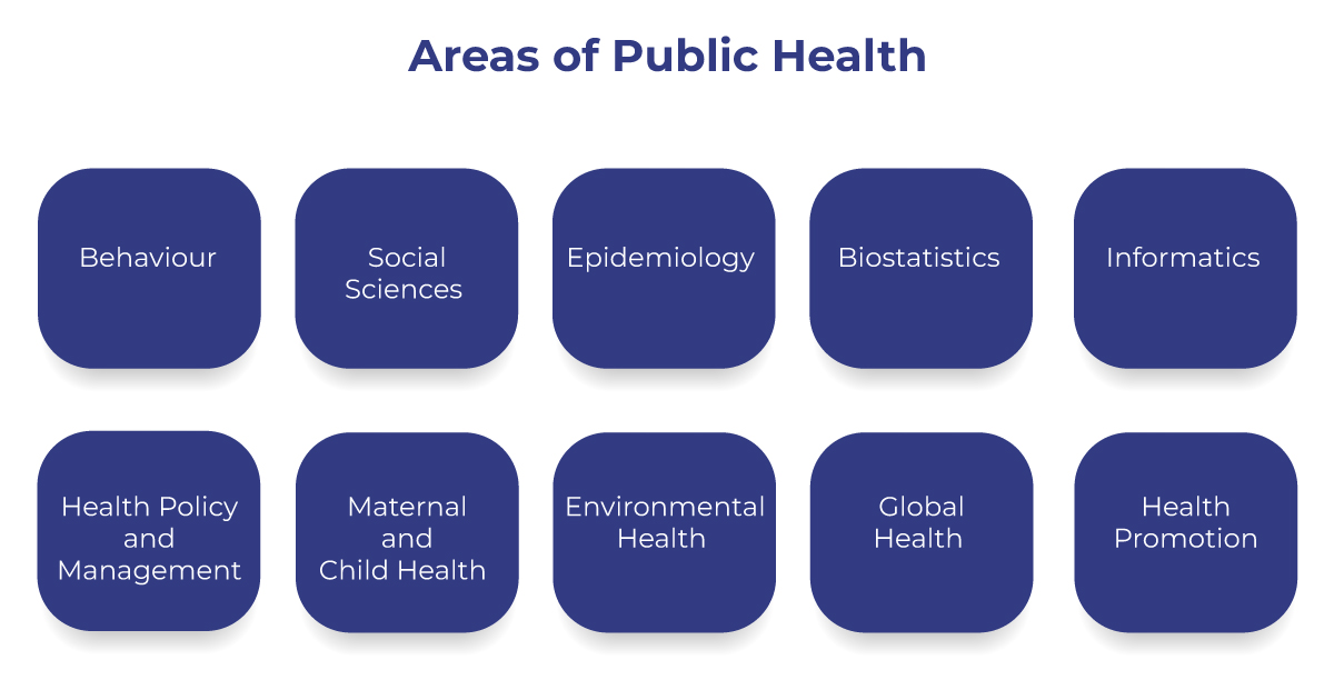 Learn About Dynamic Scope of Bachelor of Public Health - UBAS